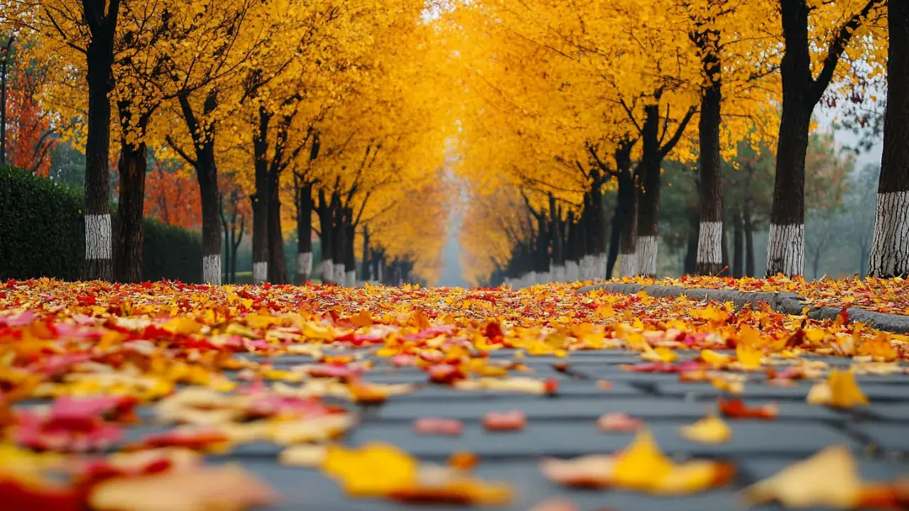 50 Enchanting Fall and Autumn Magic Quotes